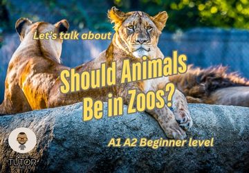 Should Animals Be in Zoos? | Talk 4 impact