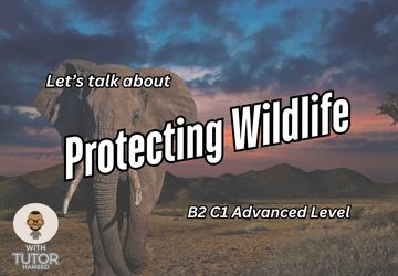 Voices for the Wild: Why Wildlife Matters | Talk 4 impact