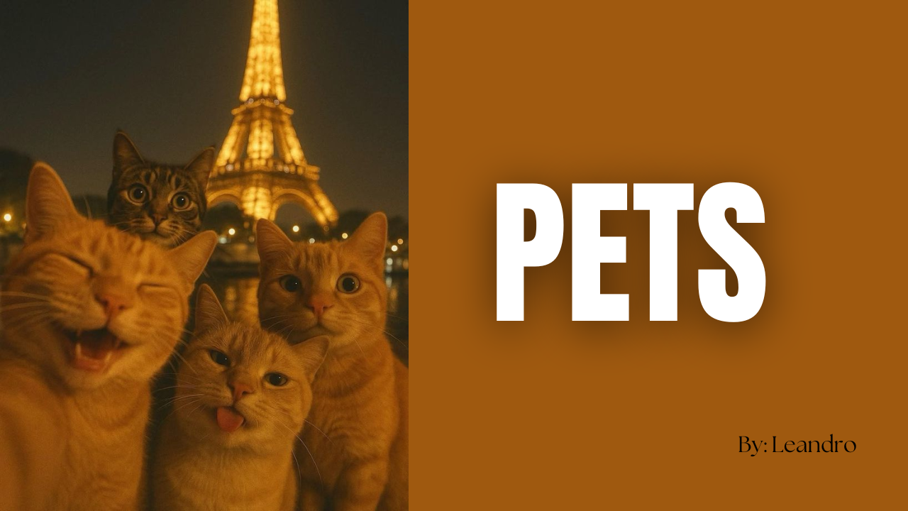 Do You Have a Pet? | Talk 4 impact